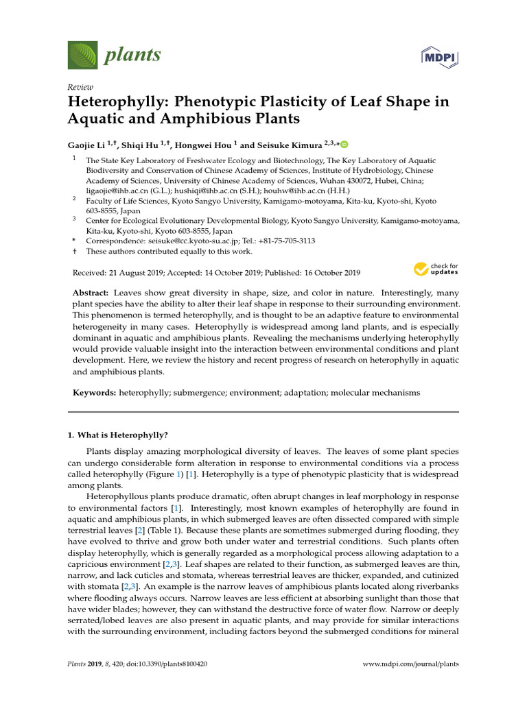 Li Gaojie, Et Al. 2019 | PDF | Leaf | Plant Hormone