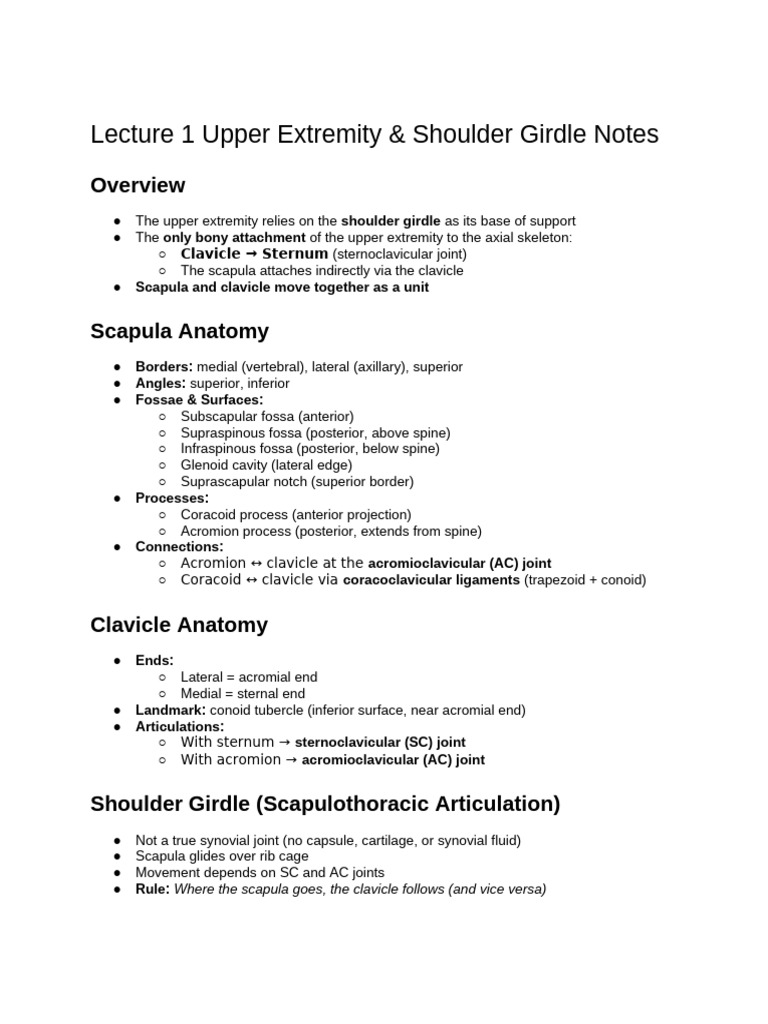 Upper Extremity & Shoulder Girdle Overview | PDF | Anatomical Terms Of ...