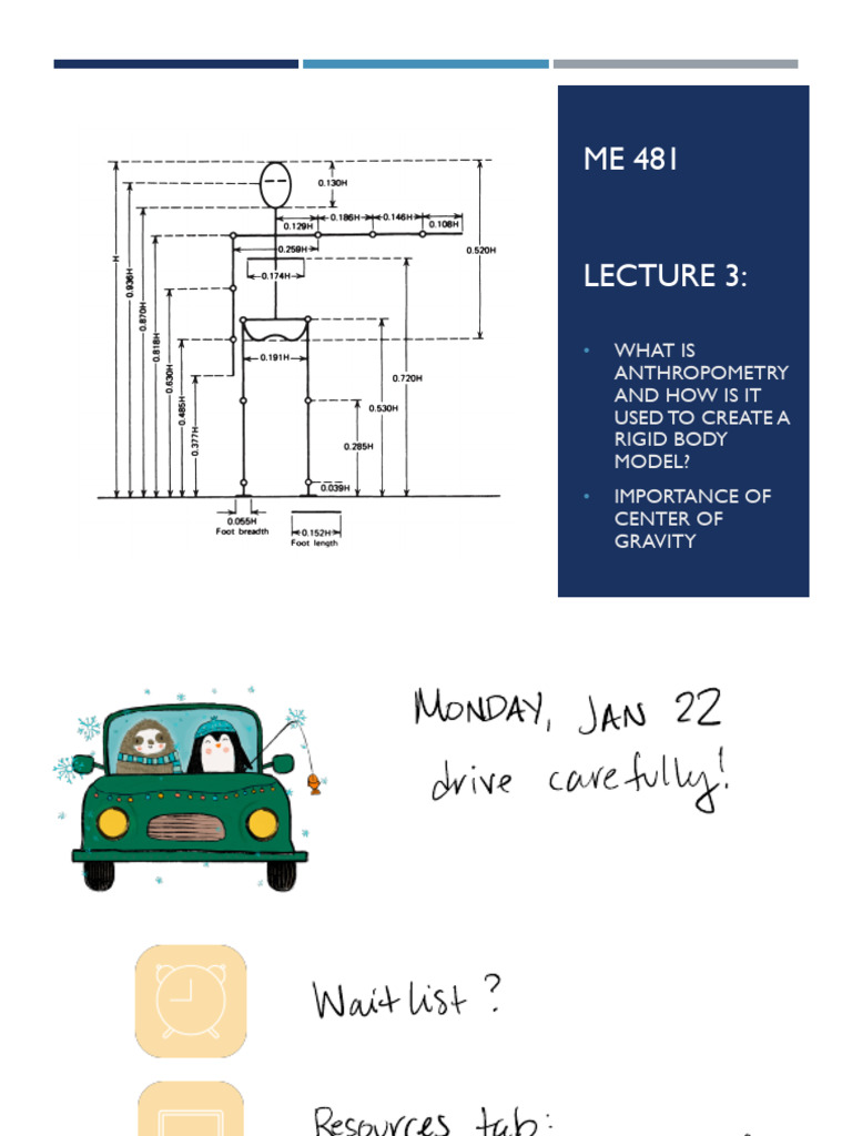 ME 481 03 - Anthropometry-Class | PDF | Anatomical Terms Of Location ...