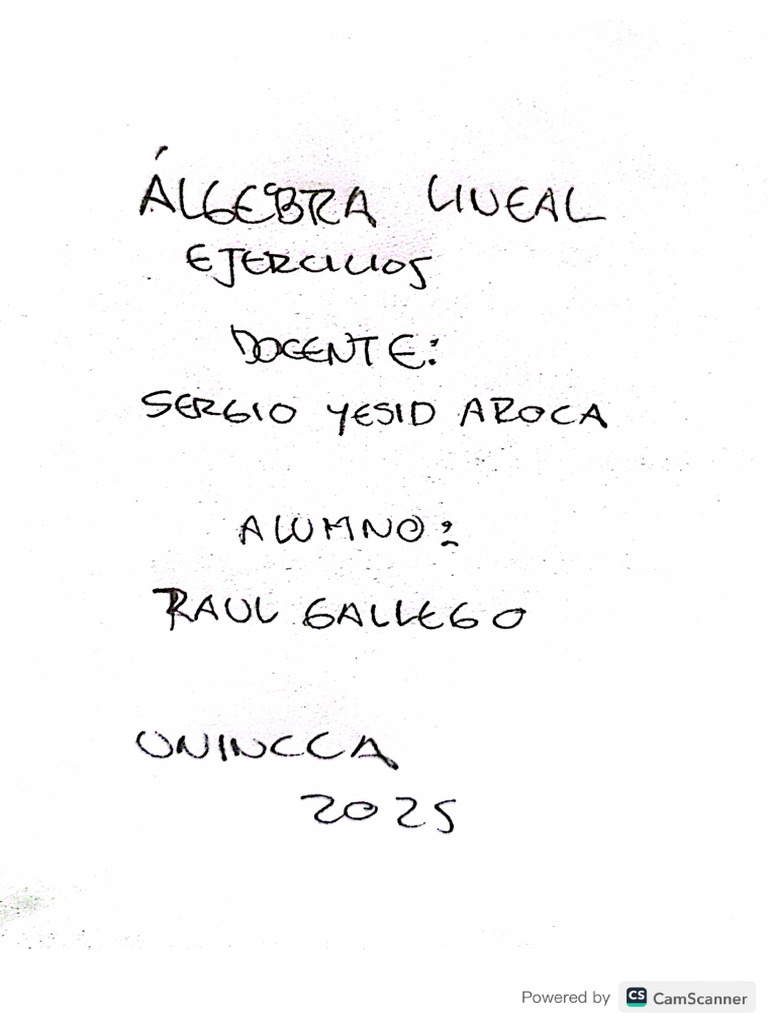 Actividad 4 - Raul Gallego Delgado - Algebra Lineal | PDF