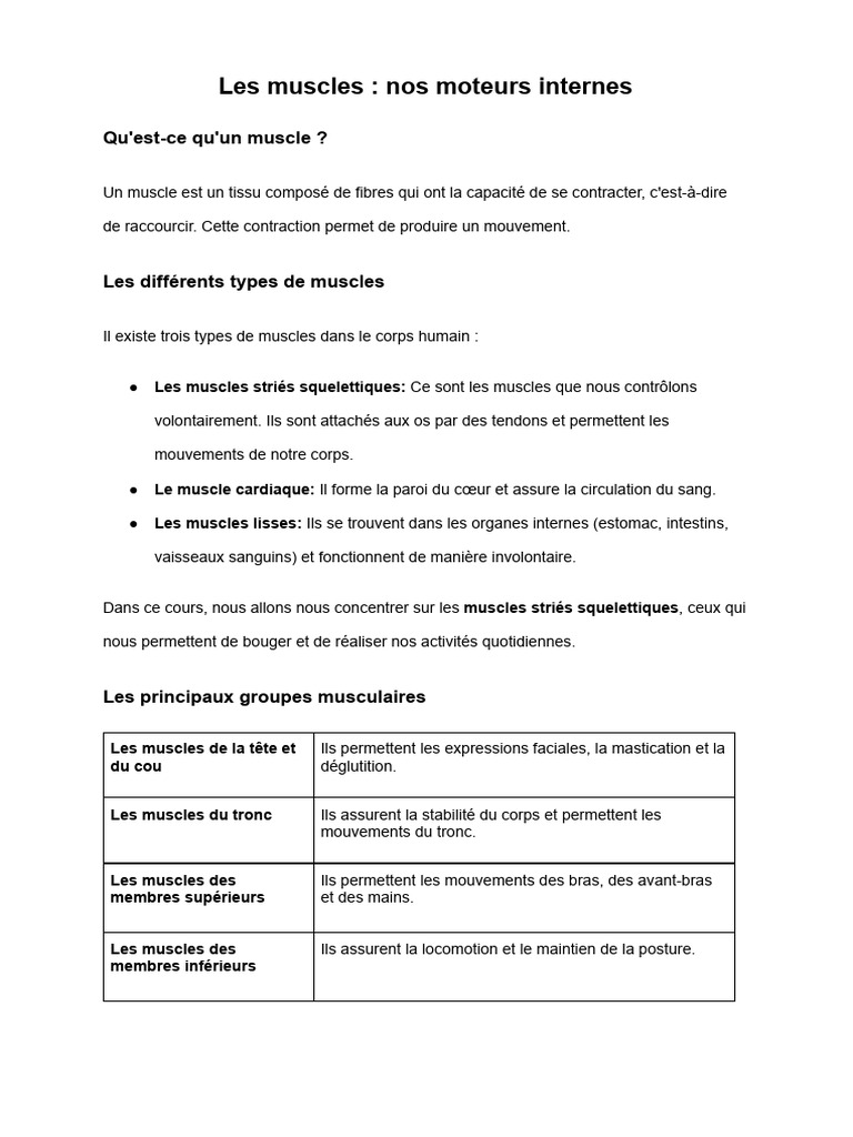 Comprendre les muscles humains essentiels | PDF | Muscle | Anatomie