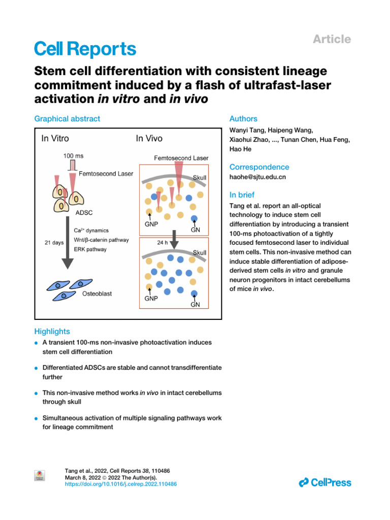 Stem Cell Differentiation With Consistent Lineage | PDF | Stem Cell | Laser