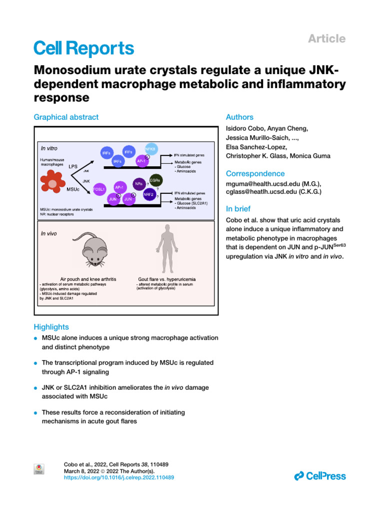 Monosodium Urate Crystals Regulate a Unique JNK De | PDF | Macrophage ...