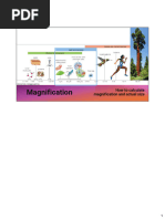 Adding a Scale Bar in ImageJ | PDF | Pixel | Imaging