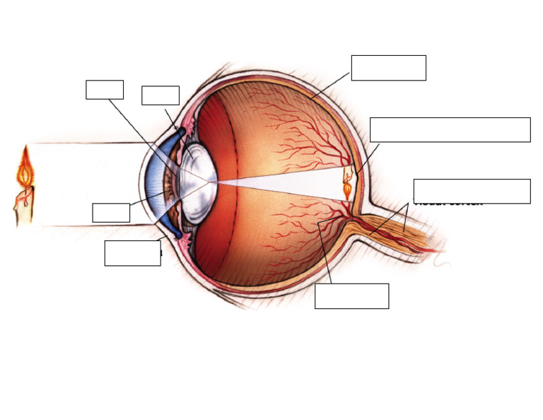 Eye Diagram | PDF