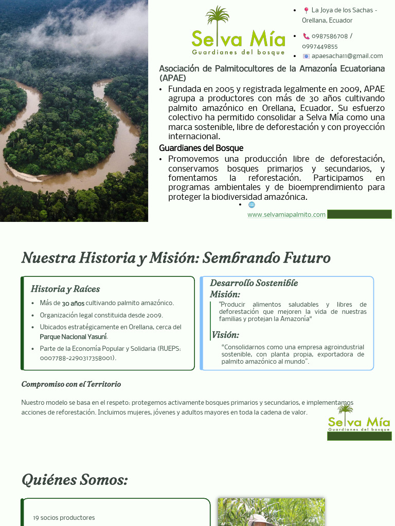 Selva Mia Guardianes Del Bosque Ok | PDF | Deforestación | Sustentabilidad