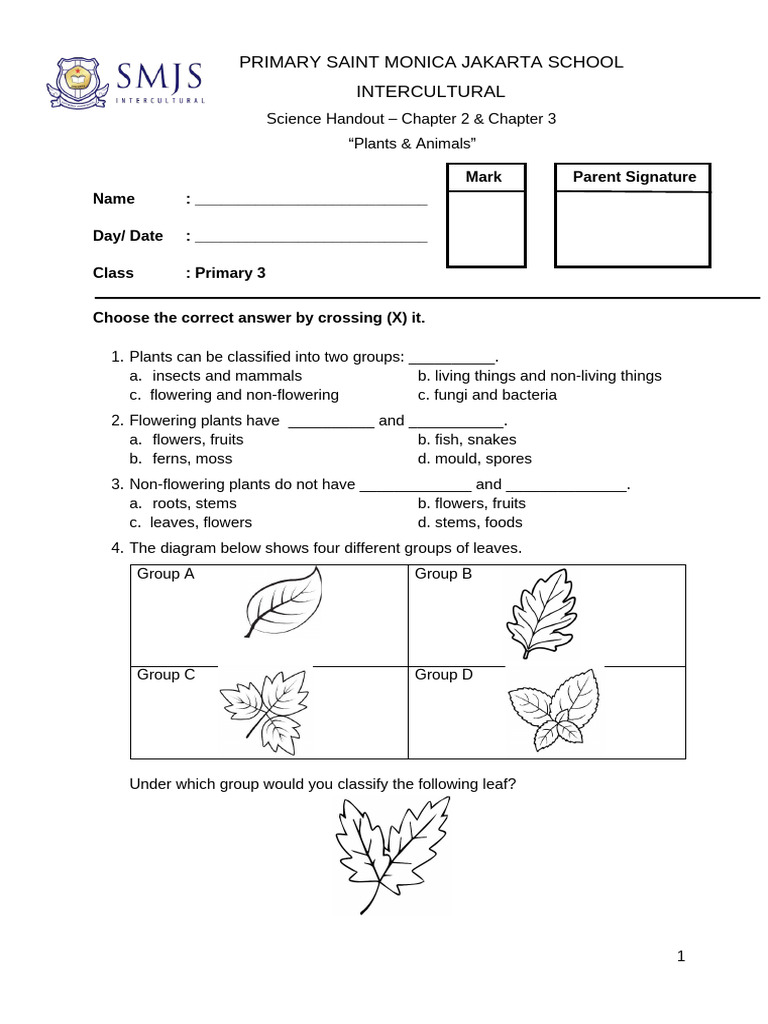 Plants and Animals Quiz for Primary 3 | PDF | Plants | Amphibian