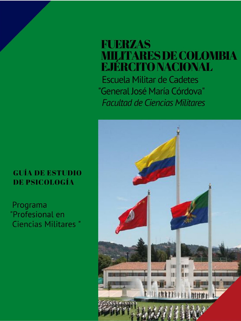 IV nivel FCM GUIA PSICOLOGÍA 2025-II | PDF | Inteligencia ...