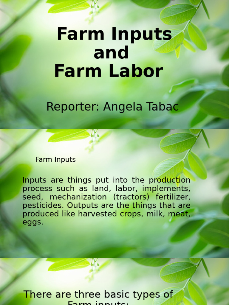 Farm-Inputs-angela | PDF | Seed | Harvest