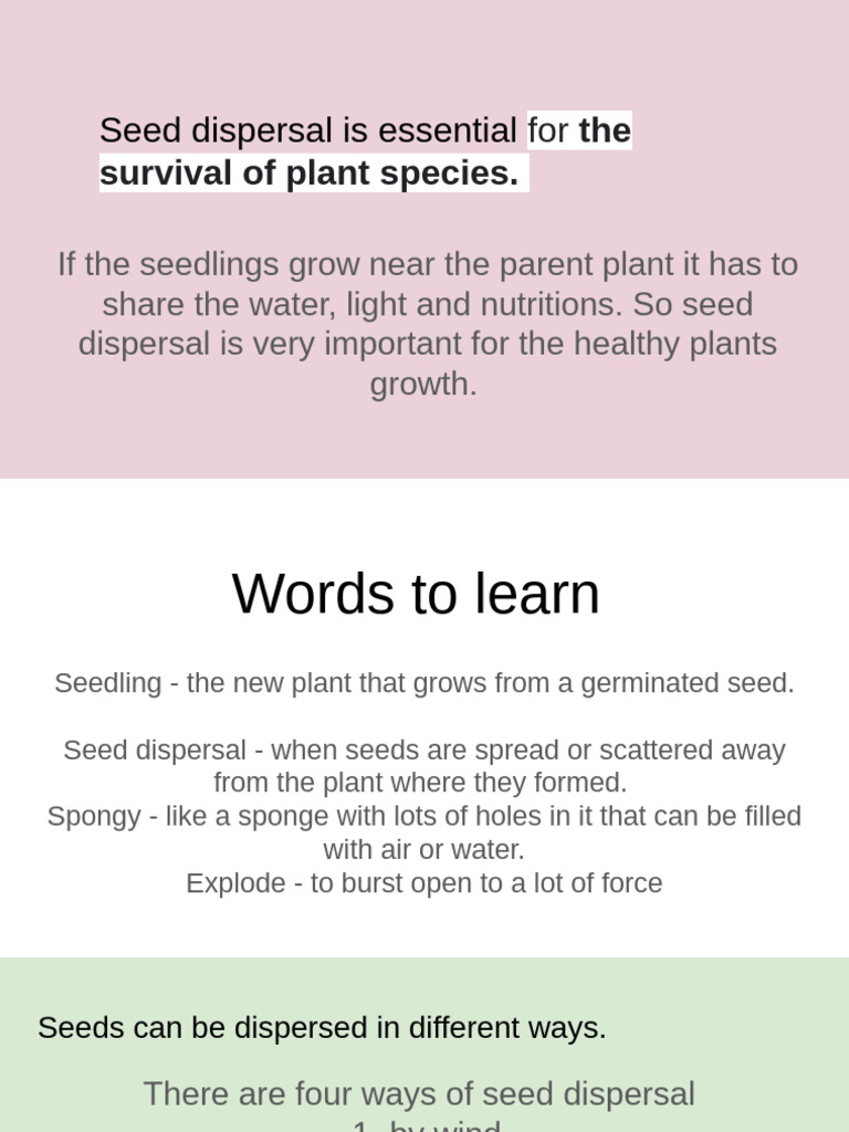 Understanding Seed Dispersal Methods | PDF | Seed | Agriculture