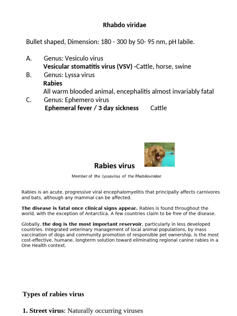 (Virology) Rabies-EF Lecture - 2022 | PDF | Rabies | Vaccines