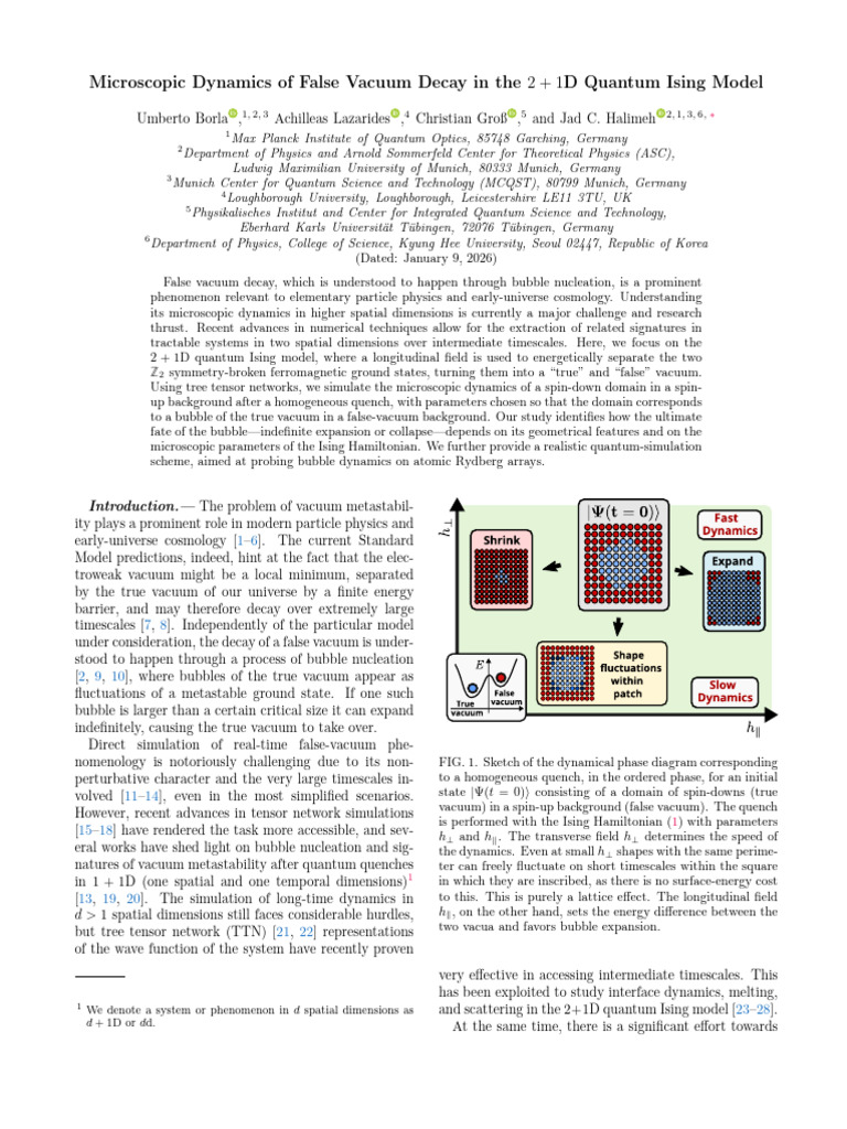 Microscopic Dynamics of False Vacuum Decay | PDF | Physical Sciences ...
