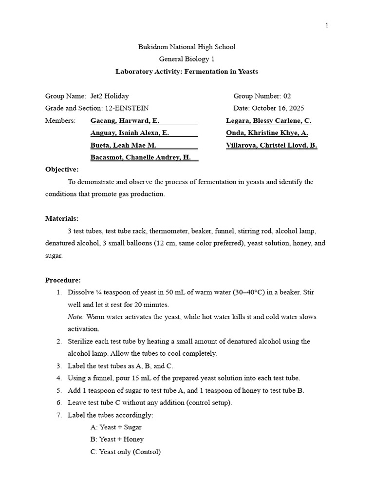 GB1 Lab Activity Fermentation | PDF | Fermentation | Yeast