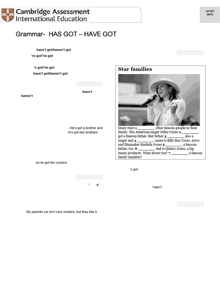 A2 KET Grammar Practice: Have Got | PDF