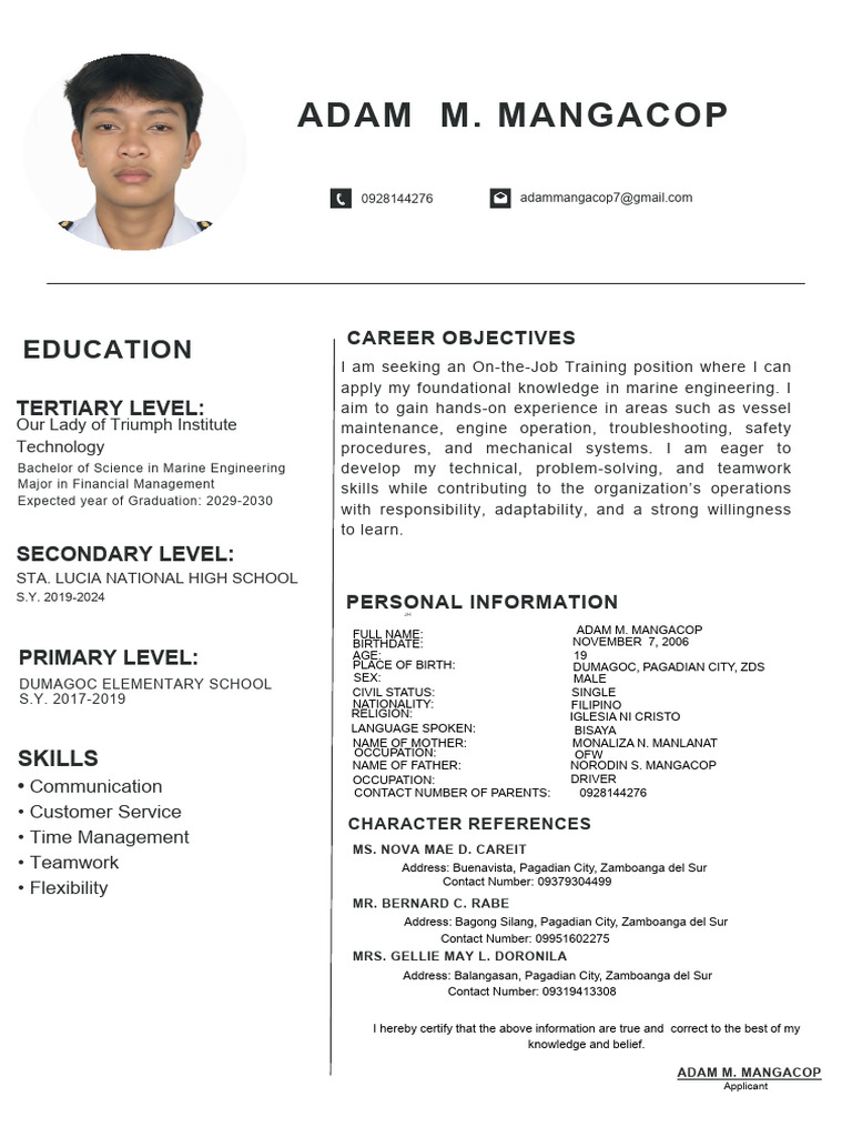 Professional Minimalist CV Resume (4) | PDF | Cognition