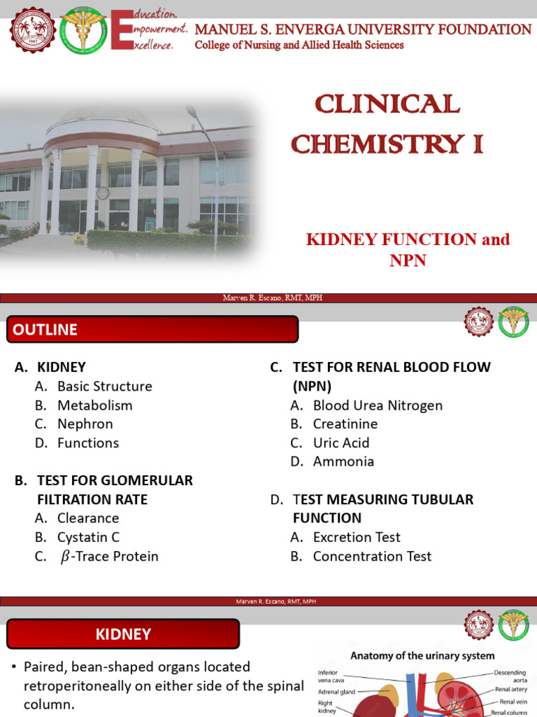 Kidney Function Tests and Metabolism | PDF | Creatinine | Kidney