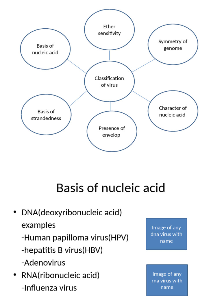 Classification of Virus | PDF | Virus | Sense (Molecular Biology)