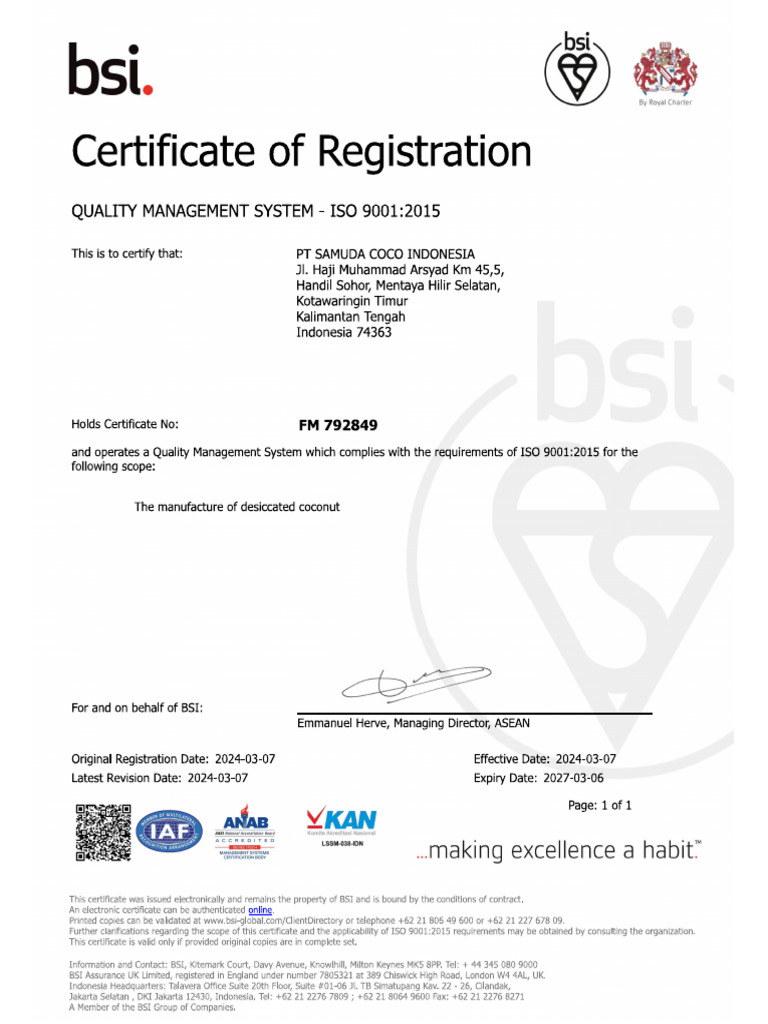 Iso 9001 2015 DC | PDF