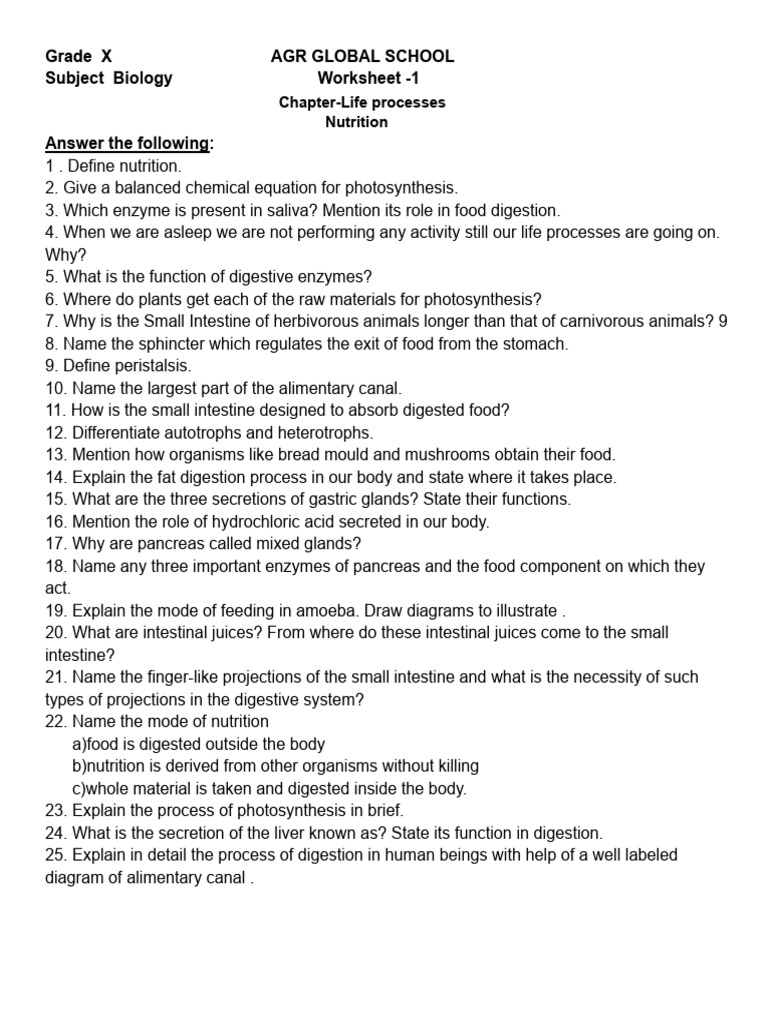 Grade 10 Worksheet 1 Biology-Life Processes Nutrition | PDF