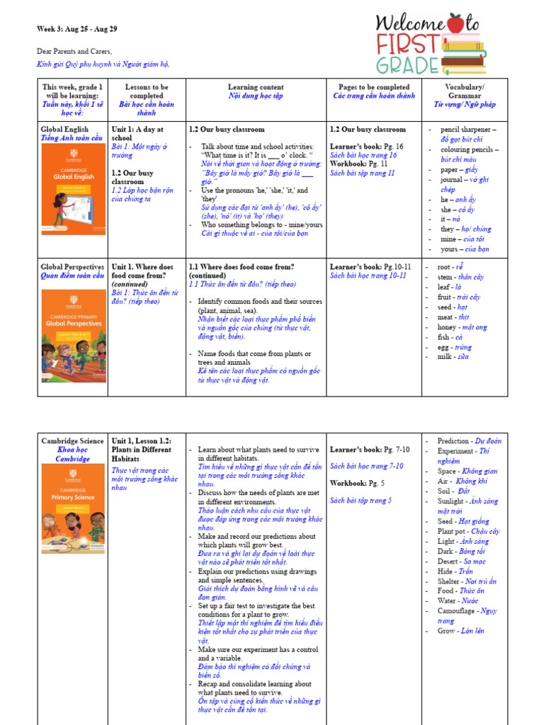 Grade 1 Weekly Letter | PDF