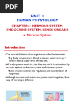 Human Body Coordination Systems | PDF | Synapse | Chemical Synapse