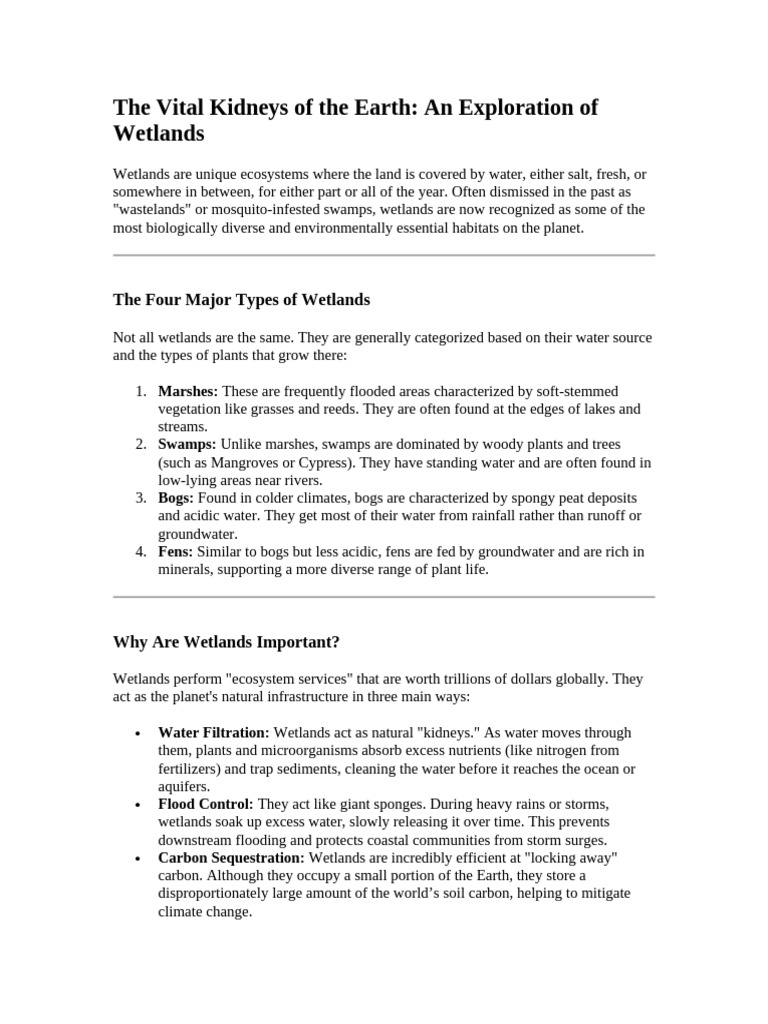 The Vital Kidneys of the Earth | PDF | Wetland | Swamp