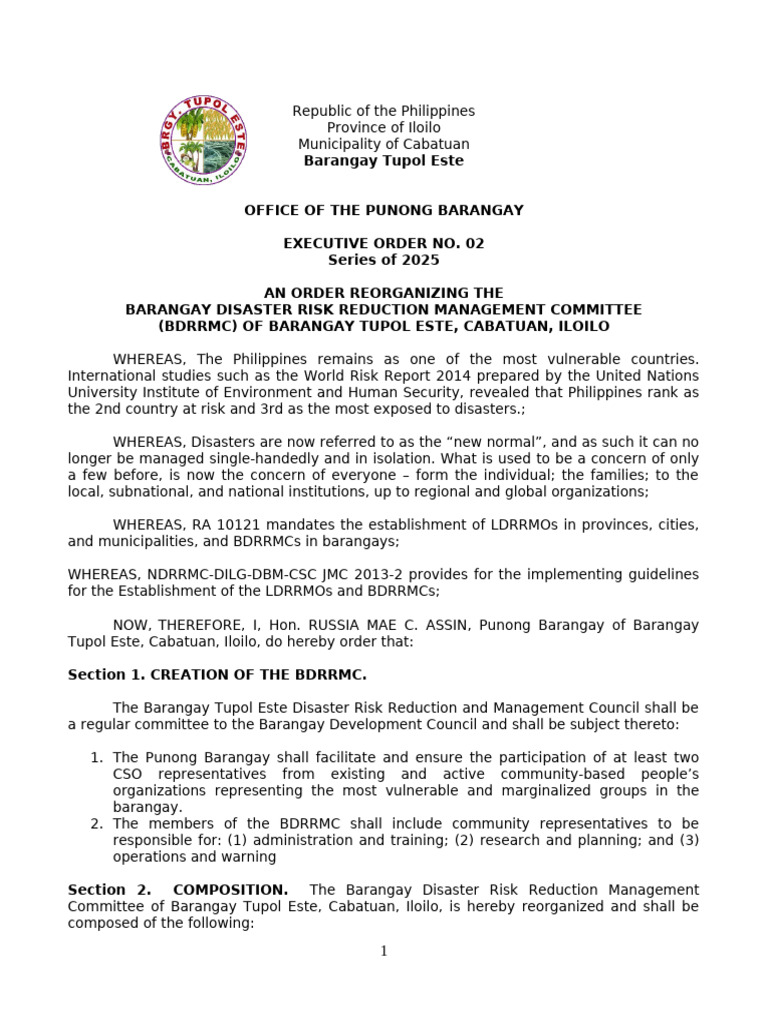 7. Barangay Disaster Risk Reduction and Management Council | PDF ...