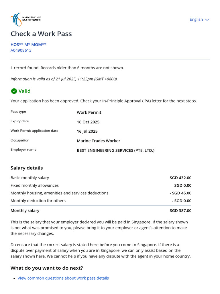 MOM _ Check a Work Pass (1) | PDF