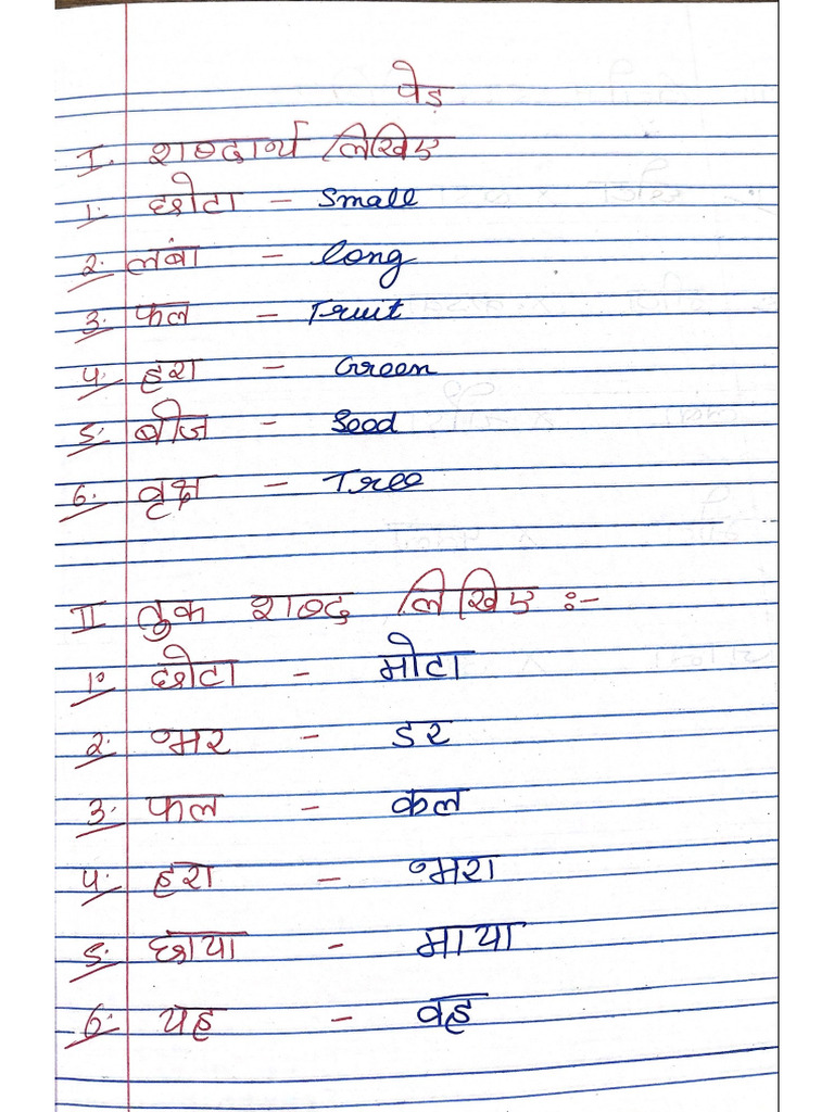 Notes of Lesson (Lang - Iii) | PDF