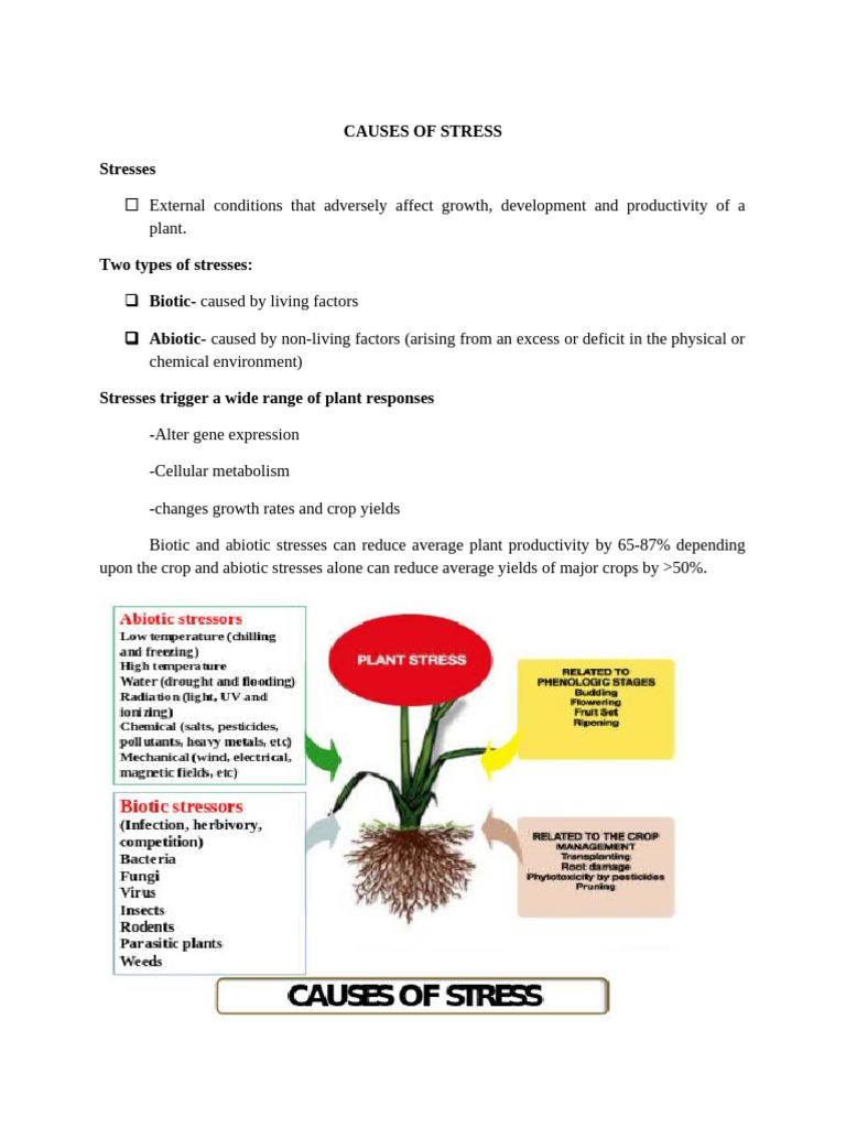 Causes of Stress | PDF | Ultraviolet | Photosynthesis