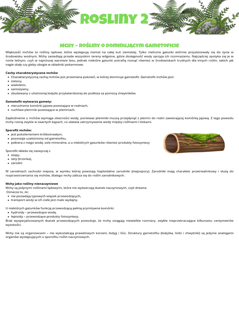 Rosliny 2 | PDF