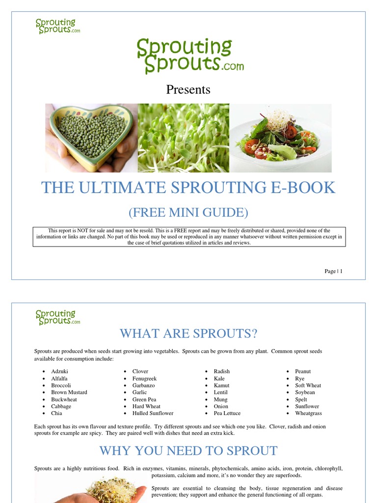 Sprouting Free Mini Guide | PDF | Salad | Curry
