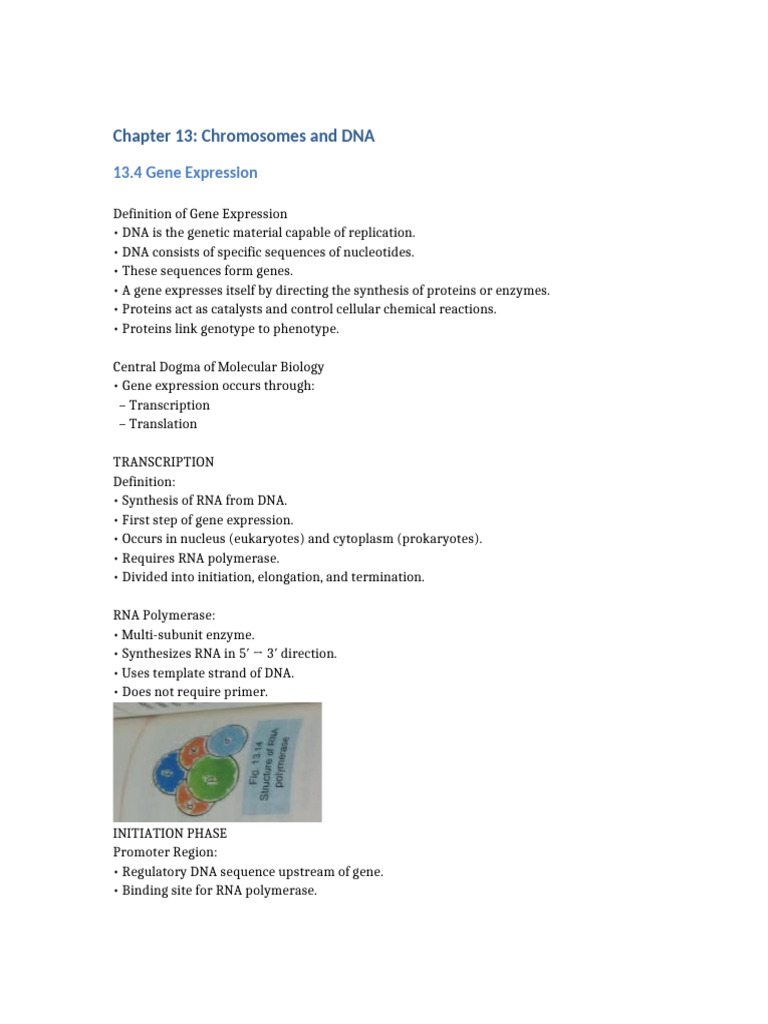Gene Expression Notes | PDF