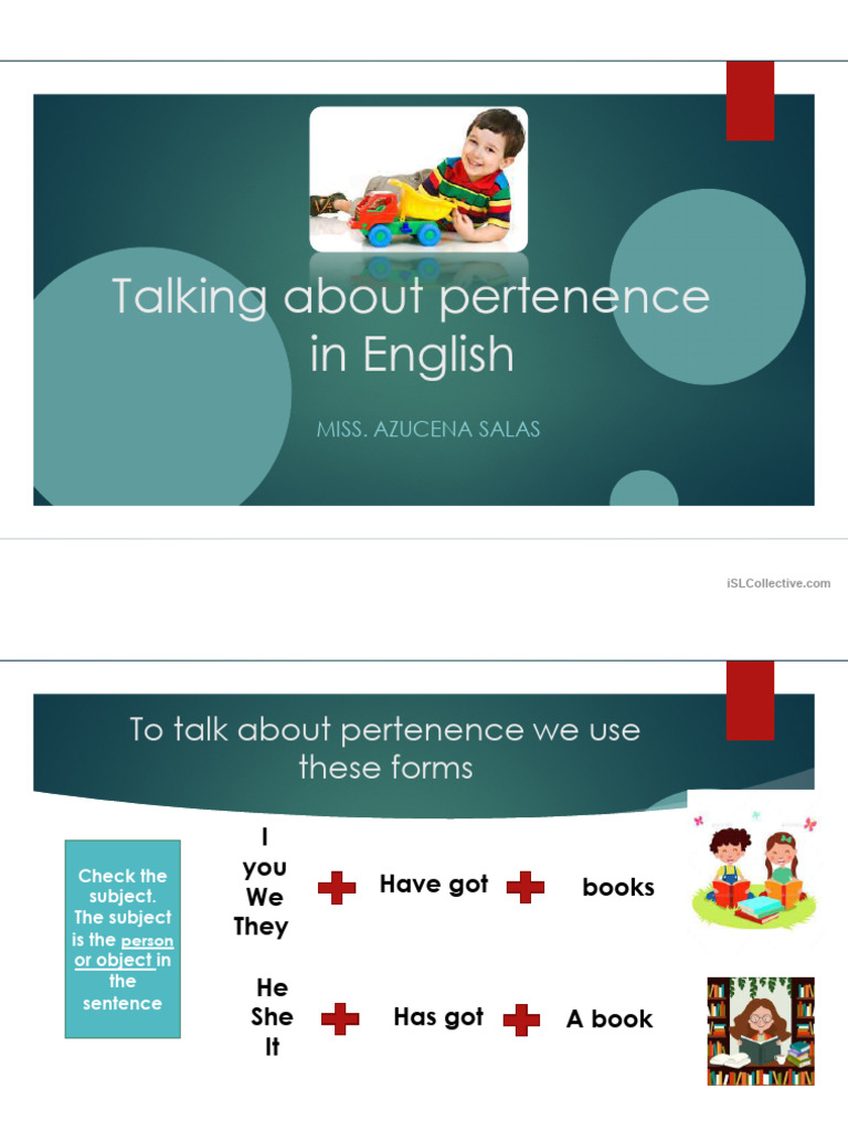 Understanding "Has Got" Usage in English | PDF
