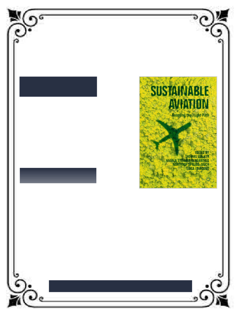 Sustainable Aviation: Greening the Flight Path Thomas Walker eBook ...