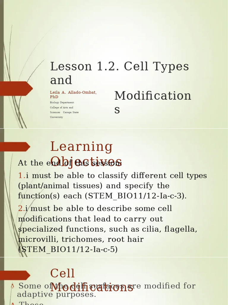 Cell Types and Modifications Explained | PDF | Cell Biology | Anatomy
