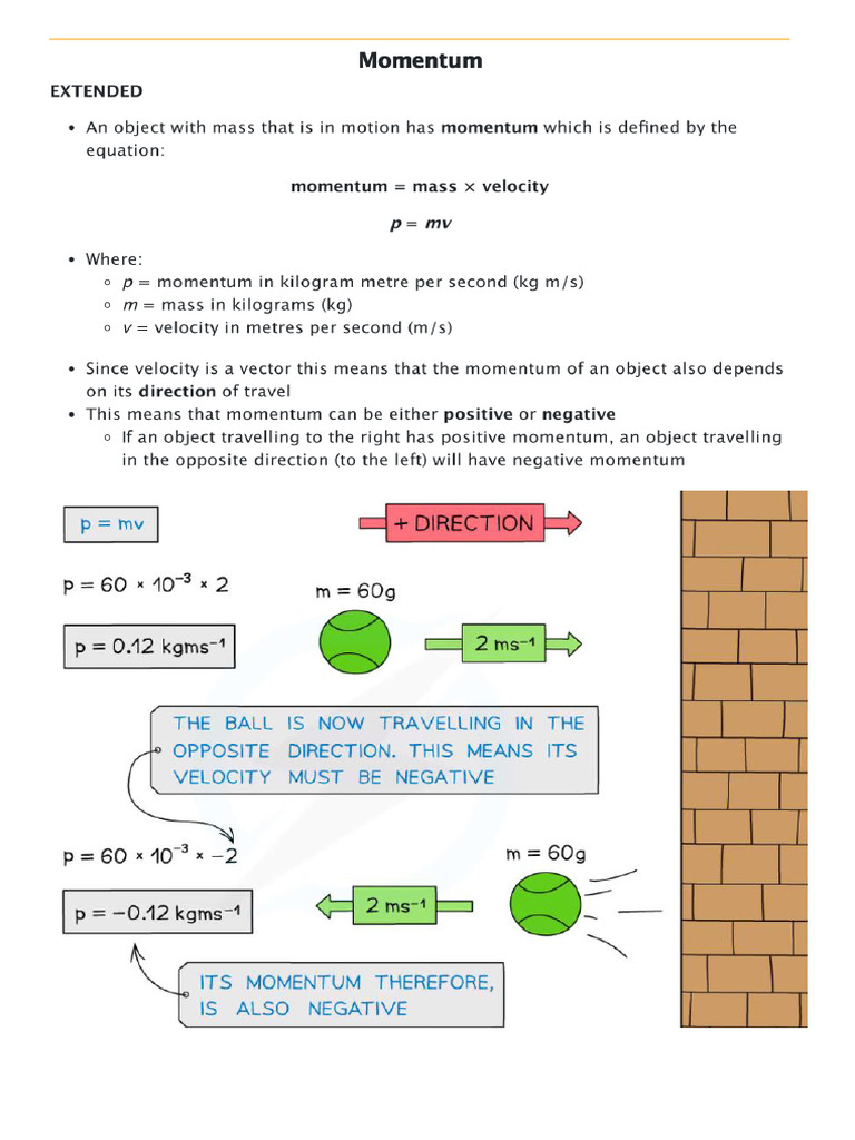 Conservation of Momentum Explained | PDF