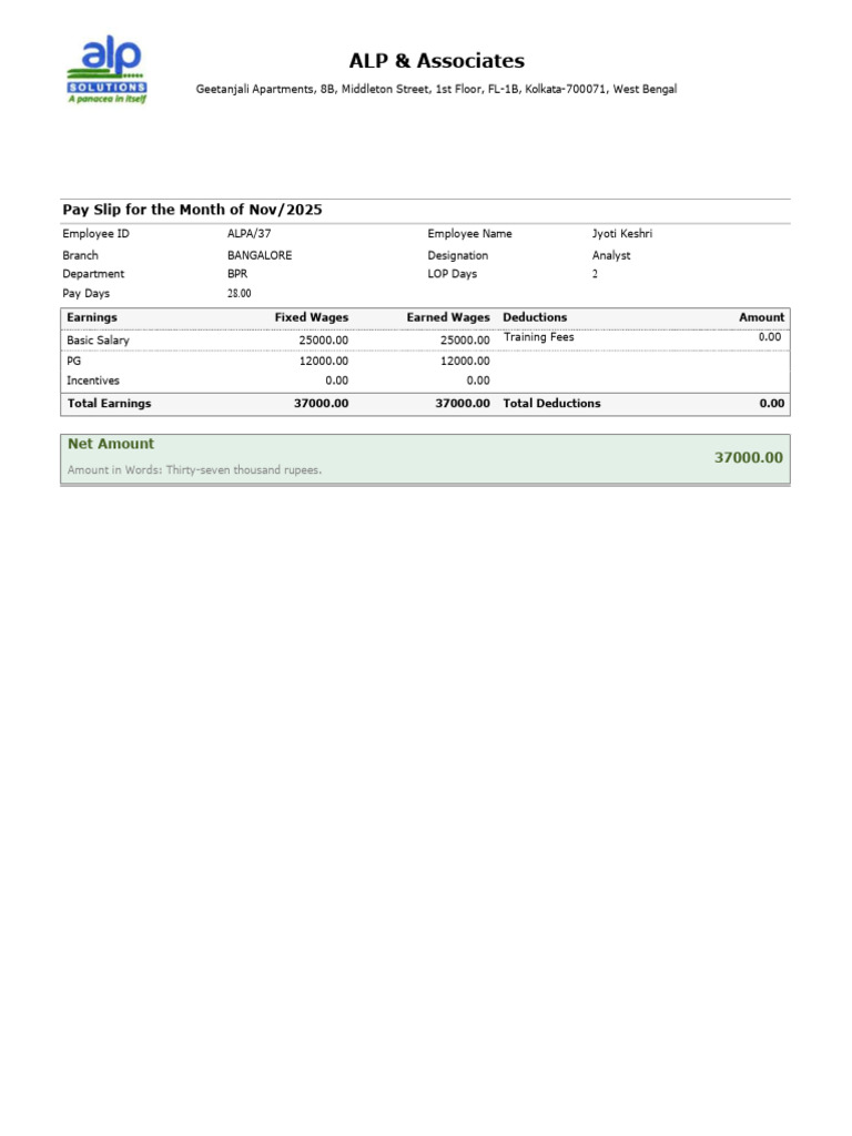 November 2025 Pay Slip for Analyst | PDF