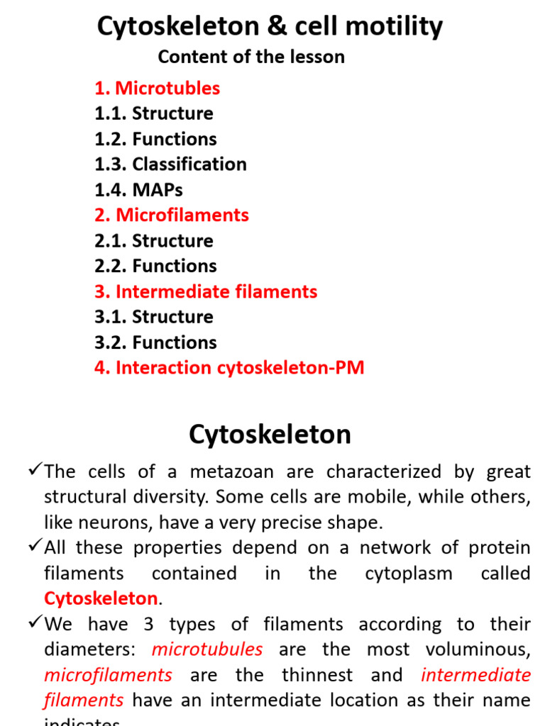 Cy to Skeleton | PDF | Microtubule | Cytoskeleton