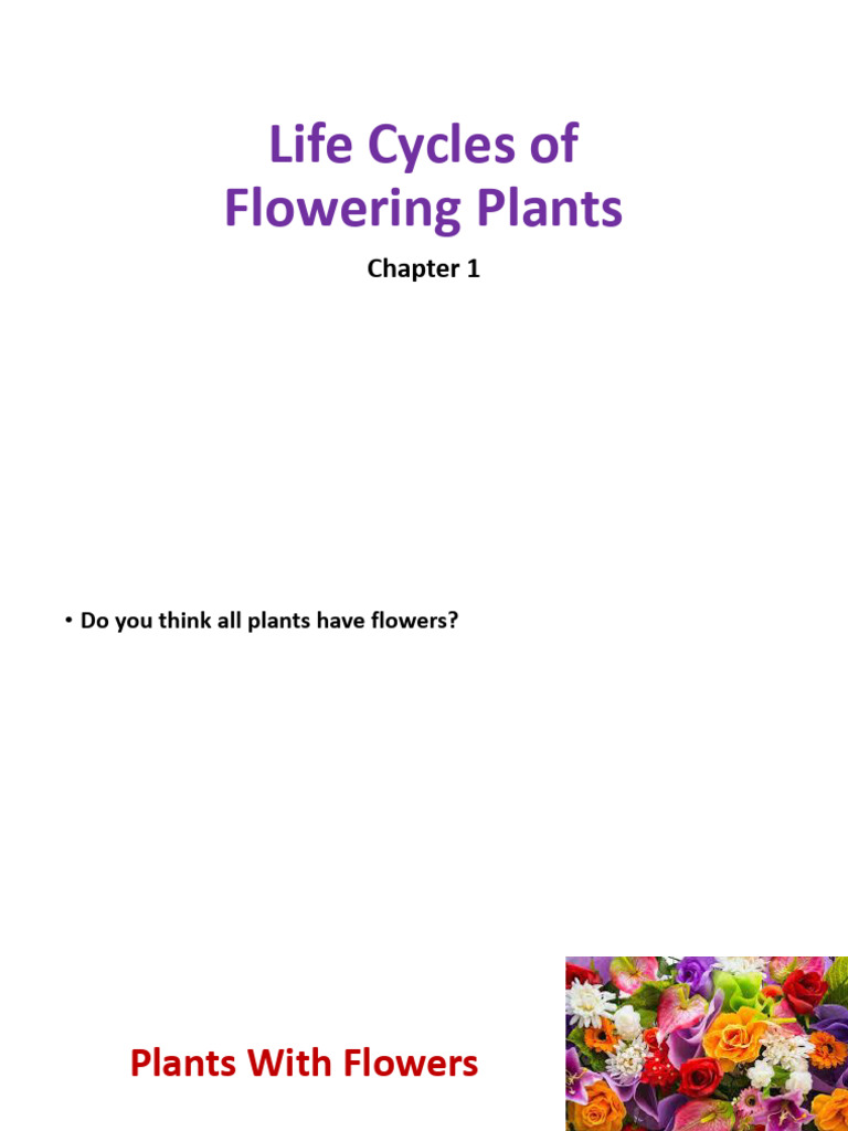 Life Cycle of Flowering Plants Explained | PDF | Pollination | Flowers