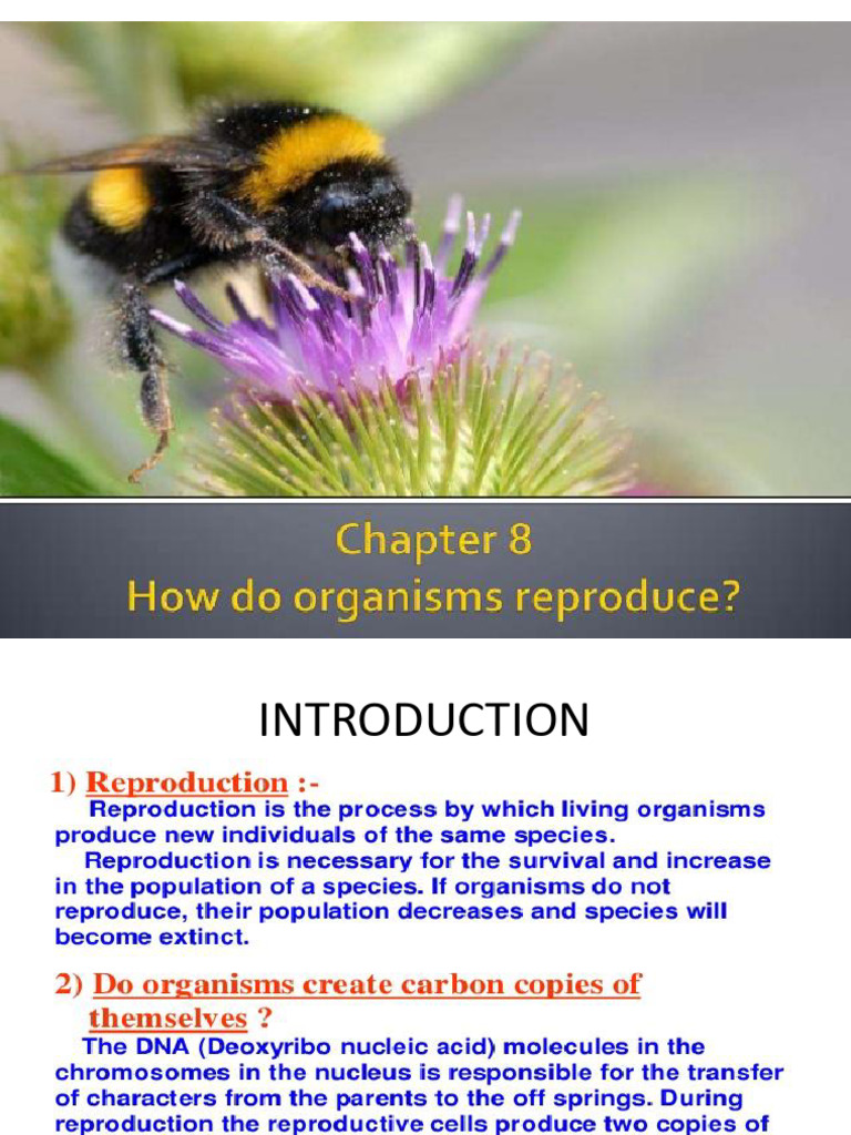 Reproduction (1).Pptx | PDF | Uterus | Reproductive System