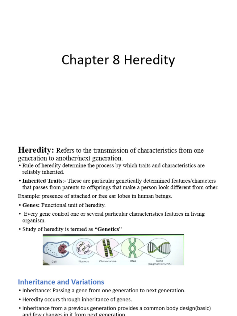 Understanding Heredity and Genetics | PDF | Genotype | Dominance (Genetics)