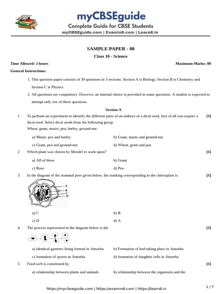 Class 10 Science Sample Paper 08 | PDF | Salt (Chemistry) | Sodium ...