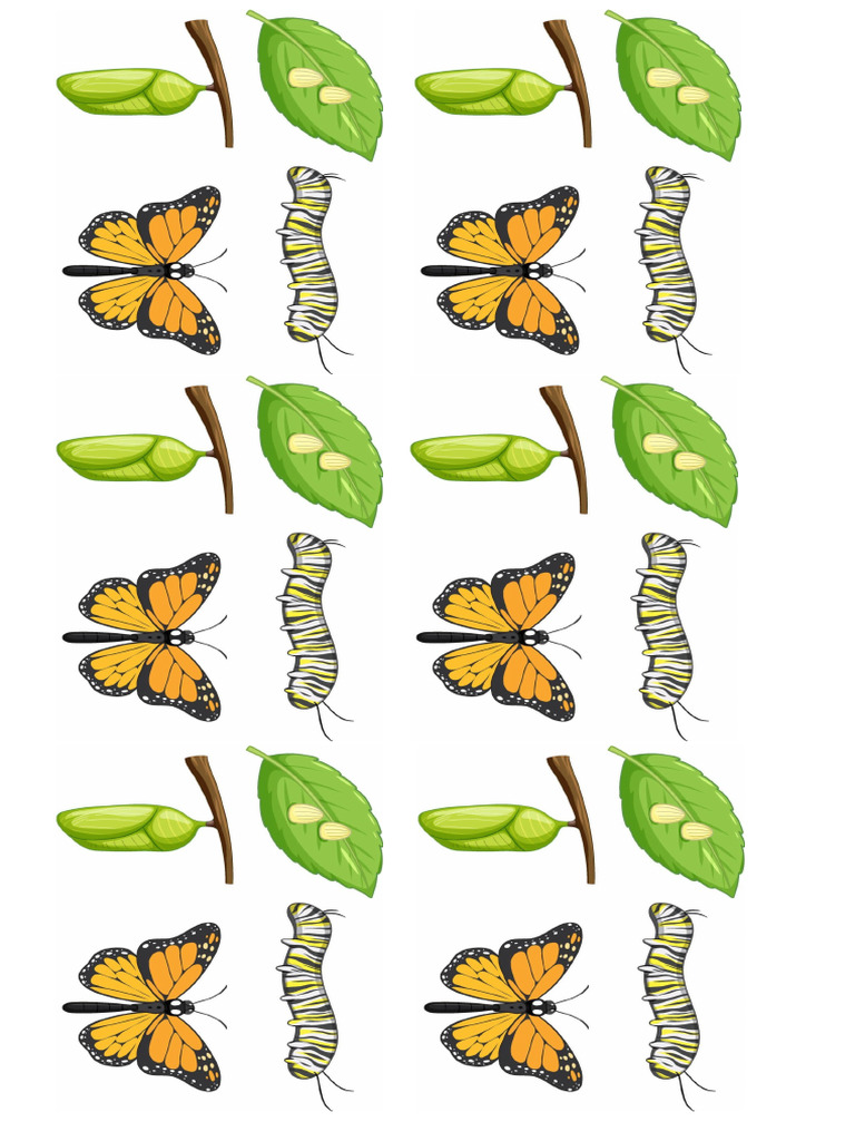 Atividade Bel (2) | PDF