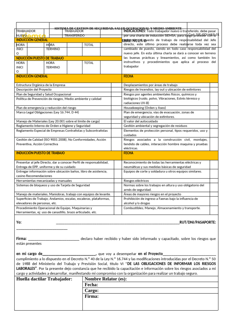 Sie h&s Registro Odi | PDF | Seguridad y salud ocupacional