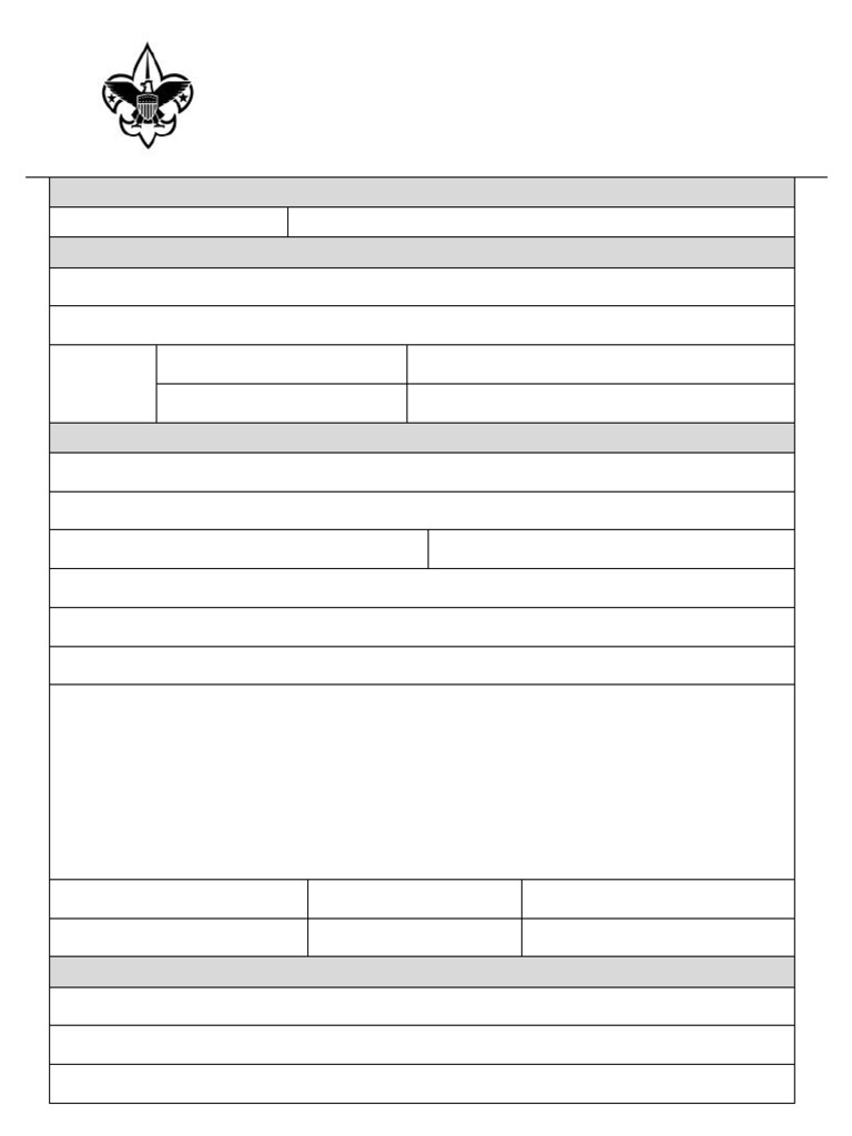 Incident Report Form for Scouting Events | PDF | Telephone | Fax