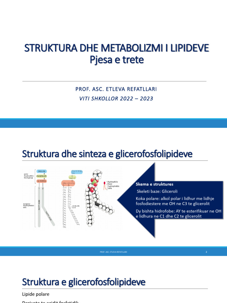 Kap5-3 Lipidet | PDF