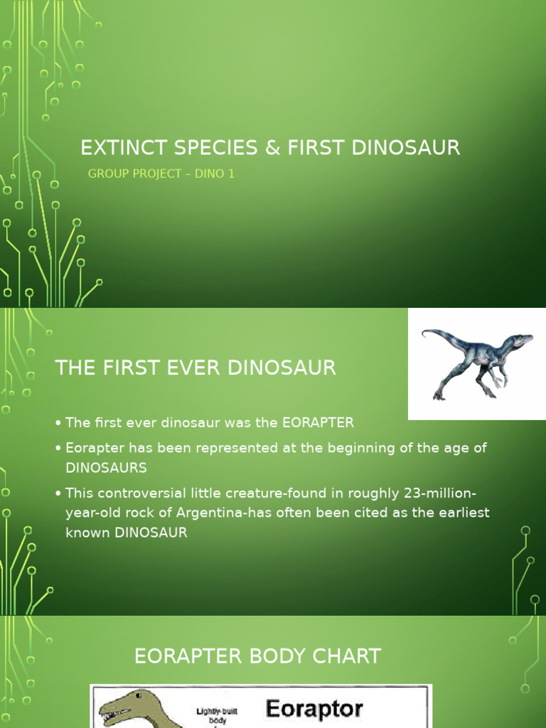 DINO 1 PPT | PDF