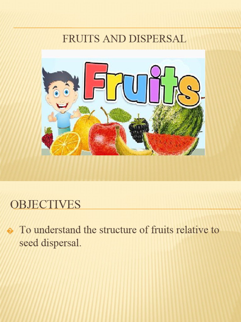 F4 Bio L11b Fruits | PDF | Fruit | Vegan Cuisine