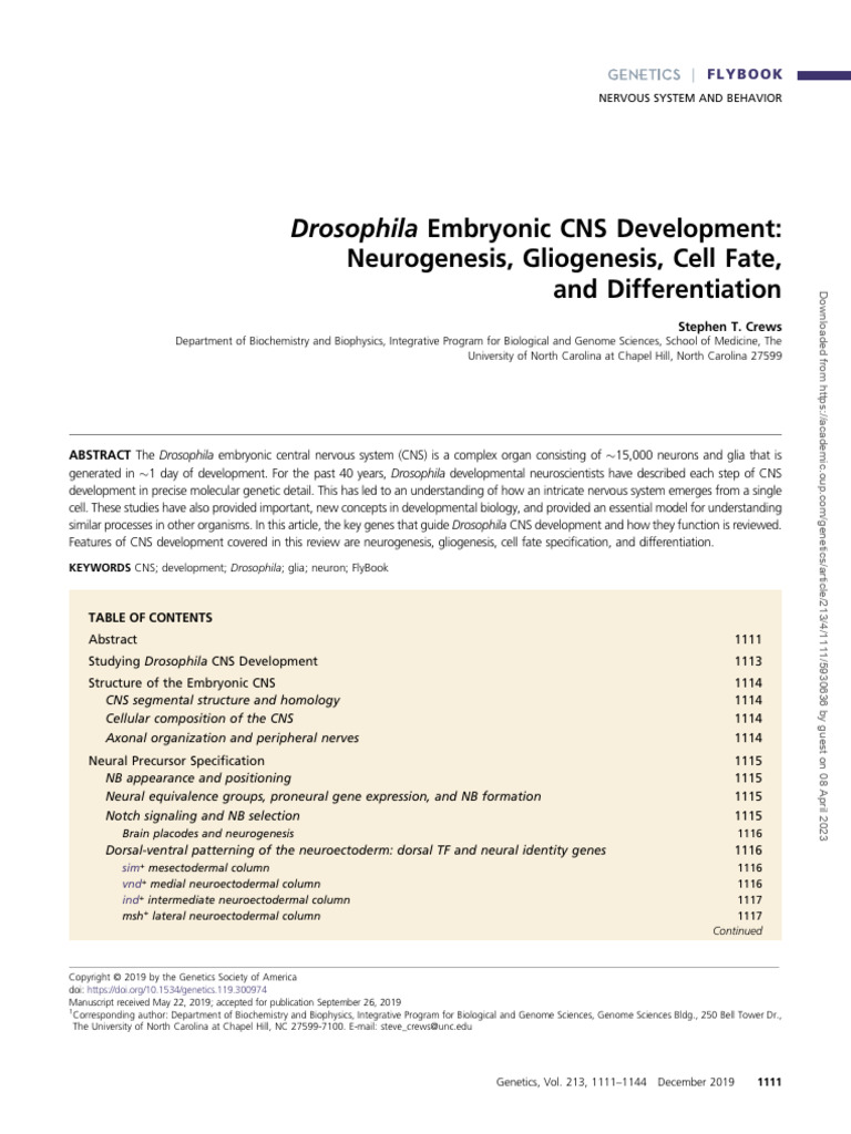 Drosophila Embryonic CNS Development_ Neurogenesis, Gliogenesis, Cell ...